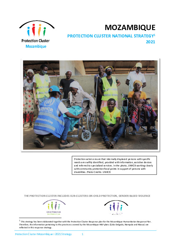 Mozambique Cluster Strategy | Global Protection Cluster
