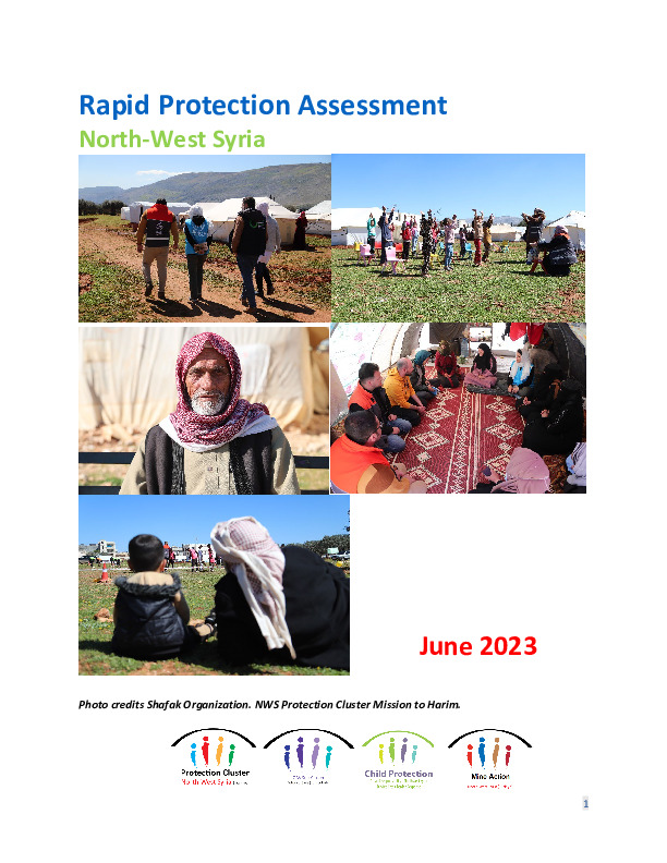 Rapid Protection Assessment: North-West Syria (June 2023) | Global ...