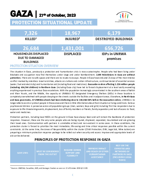 Gaza Protection Situational Update #1 | Global Protection Cluster