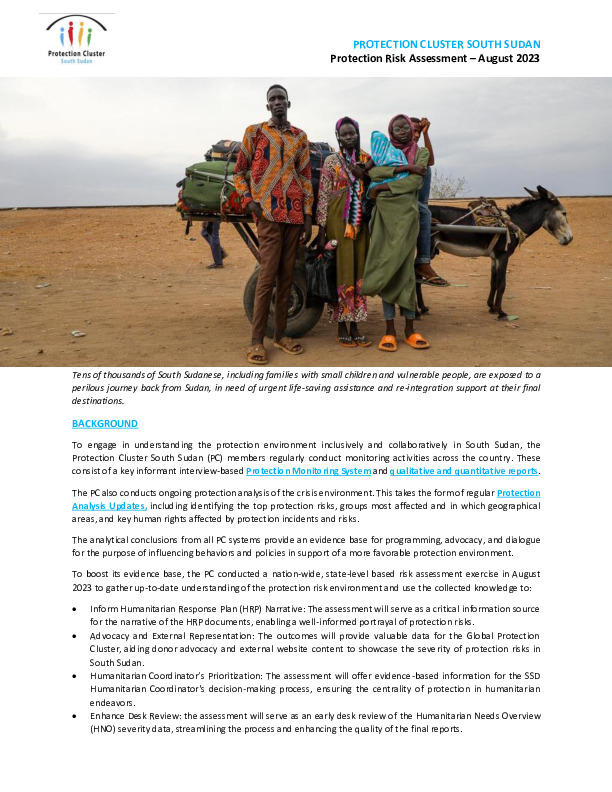 Protection Cluster South Sudan Protection Risk Assessment – August 2023 ...