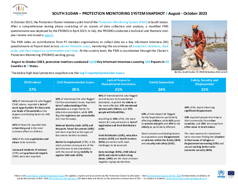 Protection Cluster South Sudan Protection Monitoring System Snapshot ...