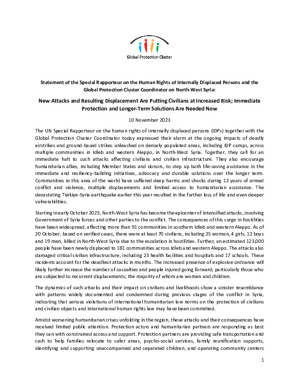 Statement Of The Special Rapporteur On The Human Rights Of Internally