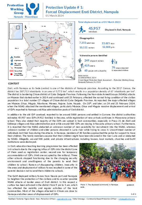 Mozambique Flash Update - Emergency response in Erati | Global ...