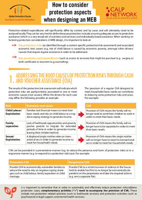 Publications | Global Protection Cluster