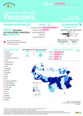 Publications | Global Protection Cluster