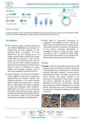 Publications | Global Protection Cluster