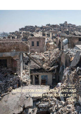 Publications | Global Protection Cluster