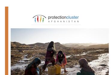 HNO / Protection Cluster Approach to Protection Analysis | Global ...