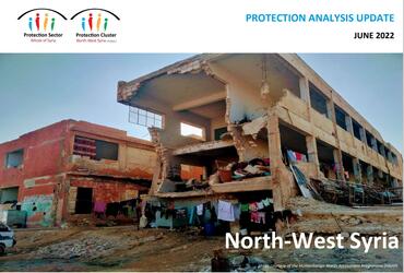 HNO / Protection Cluster Approach to Protection Analysis | Global ...