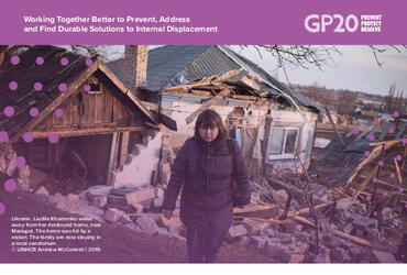 The Handbook for the Protection of Internally Displaced Persons ...