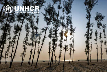 GPC Protection Mainstreaming PowerPoint Presentation | Global ...