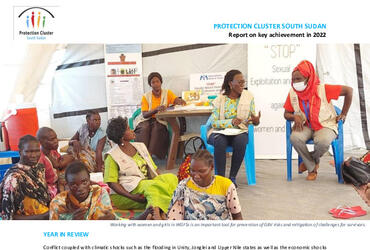 Protection Cluster South Sudan Protection Risk Monitoring System (PRMS ...