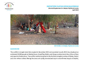 Sudan Protection Cluster - 2024 MSNA dashboard | Global Protection Cluster