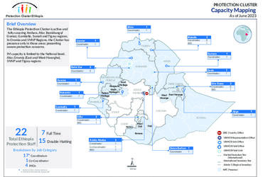 Global Protection Cluster