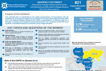 Global Protection Cluster