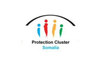 Global Protection Cluster