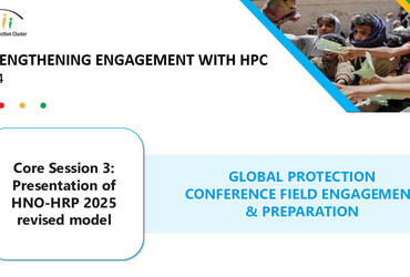 Global Protection Cluster