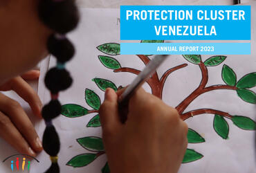 Global Protection Cluster