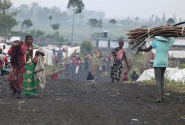 Annex 1: Description of pillars, subpillars and categories | Global ...